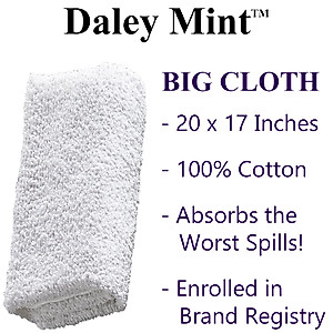 FOLEX Instant Carpet Spot Remover + Daley Mint Cloth | Instant Rug, Upholstery, and Carpet Spot Remover Kit for Home, 32oz