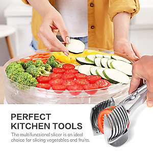 Tomato Slicer Lemon Cutter, Multipurpose Tools for Soft Skin Fruits And Vegetables, Home Made Food & Drinks Decoration