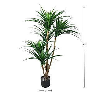 Pure Garden Artificial Tree - 51-Inch Tropical Yucca Plant with Rubber Leaves and Natural Trunk for Living Room, Bedroom and Office - Faux Plants