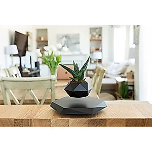 BandD Floating Plant Pot - Levitating Plant Pot for Succulents, air Bonsai & air Plants. Floating Planter for Home, Office & Desk Levitating Decor. Magnetic Floating Levitating Display. (Black)