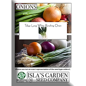 Tokyo Long White Bunching Onion Seeds for Planting, 300+ Heirloom Seeds Per Packet, (Isla's Garden Seeds), Non GMO Seeds, Botanical Name: Allium fistulosum, Garden Gift!