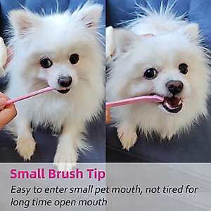 Cat Dog Toothbrush Puppy Tooth Brushing Kit Cat Dental Healthy Pink Teeth Brush for Dogs Dental Hygiene Toothbrush for Pet Kitten Bunny 1 Piece