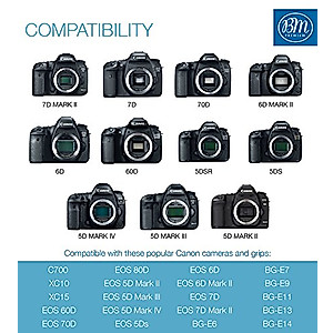 BM Premium 2 Pack of LP-E6NH High Capacity Batteries and Dual Bay Battery Charger for Canon EOS R EOS R5 EOS R6 EOS R6 II EOS R7 EOS 90D EOS 60D EOS 70D EOS 80D EOS 6D II EOS 7D EOS 7D Mark II Cameras