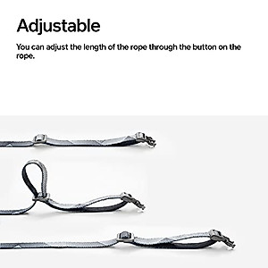 pidan Cat Harness and Leash Set, Cats Escape Proof - Adjustable Kitten Harness for Large Small Cats, Lightweight Soft Walking Travel Petsafe Harness（(Multicolor）