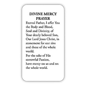 Daily Devotional Wallet, Mini Book of The Divine Mercy, Holy Card and Sacred Medal, 2 X 3 Inches