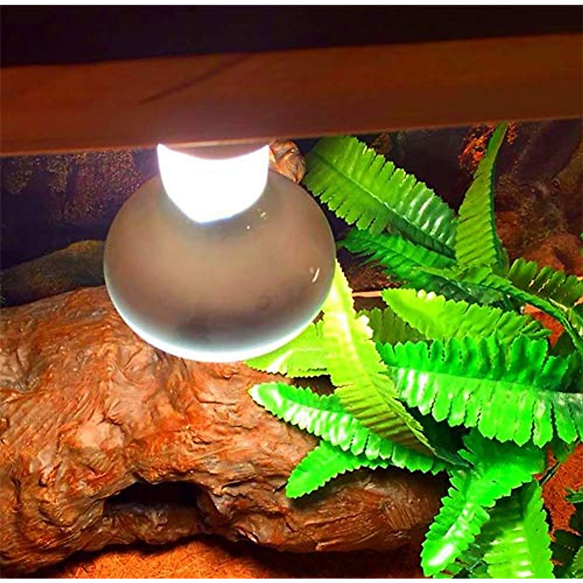 MD Lighting MaoTopCom 100W Basking Spot Heat Lamp Bulbs(2 Pack), 110V Reptile Mercury Vapor Bulbs Soft White Poly Sand Light Dome Bulb for Reptile and Amphibian Use, as Tortoise Lizard