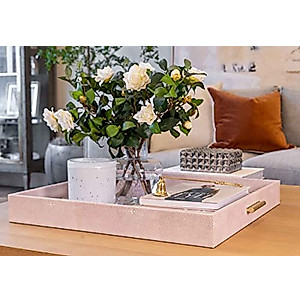 Large Blush Sting Tray – by Alice Lane Home Collection – Pink Blush – Gold Finished Handles – Modern Elegant Decorative Tray – Home Décor, Kitchen, Bathroom, and Coffee Table