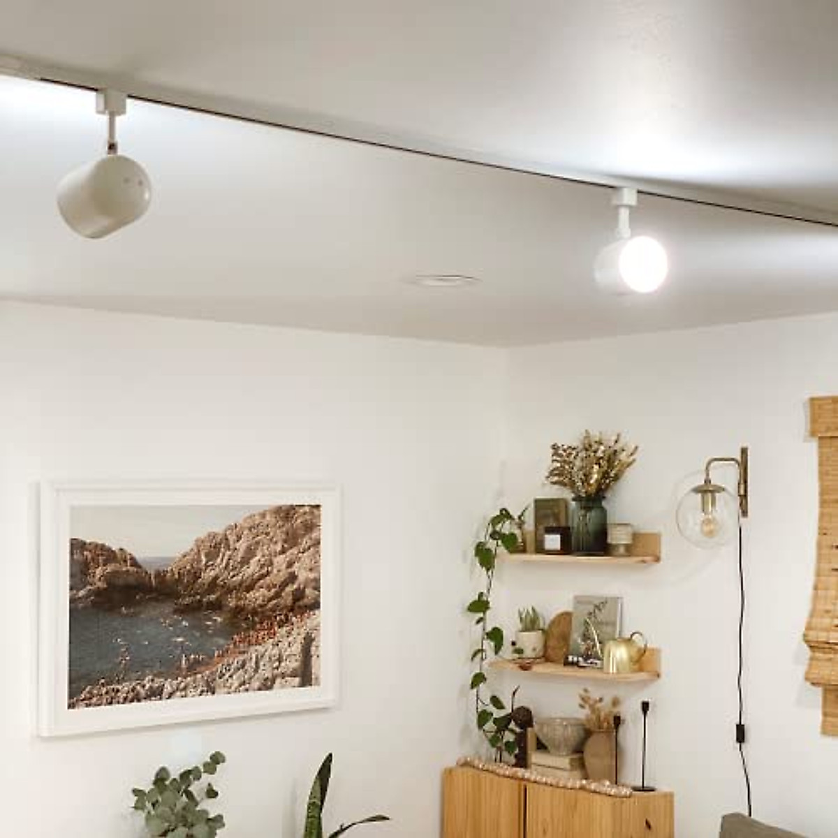 Feit Electric LED Light Bulbs, A19 60W Equivalent, Non-Dimmable, 800 Lumens, A19 LED Light Bulbs, E26 Base, 5000k Daylight, A19 LED Bulbs, 10 Year Lifetime, 1 Pack, A800/850/10KLED