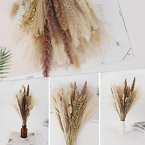 JFNDUIFEI 65 pcs Pampas Grass Decor Tall,Natural Dried Pampas Grass Fluffy for Flower Arrangements Home Decor,17inch Pampas Grass Plants for Home Garden Party Wedding Decor