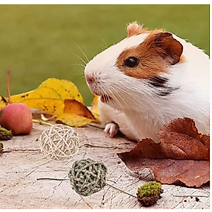 VCZONE Bunny Chew Toys, Rabbit Pet Tooth Chew Toys Organic Natural Apple Wood Grass Cake Ideal for Bunny, Chinchilla, Guinea Pigs, Hamsters Teeth Grinding (9 Pack)