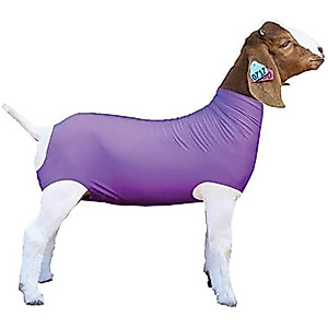 Show Pro Purple Spandex Goat Tube for Show Goats - Show Livestock Supplies: Goat Covers & Blankets (Medium)