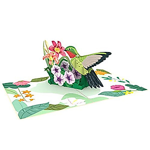 Liif Hummingbird Mother's Day 3D Greeting Pop Up Card Card For All Occasions, Father's Day, Happy Birthday, Anniversary, Retirement, Thinking Of You, Get Well, Hummingbird Gifts For Women, Bird Lover