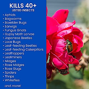 BioAdvanced Dual Action Rose and Flower Insect Killer, Continuous Spray, 15.7 oz