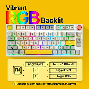 EPOMAKER TH80 Pro 75% Hot Swap RGB 2.4Ghz/Bluetooth 5.0/Wired Gaming Keyboard, with 4000mah Battery, PBT Keycaps, Knob Control for Windows/Mac PS5 PS4 Xbox