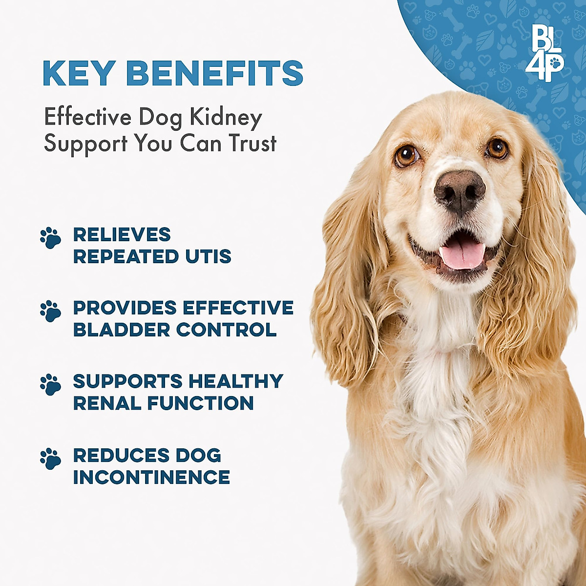 Dog UTI Treatment, Bladder & Kidney Support - Natural Incontinence and Bladder Control for Dogs Reduces Urinary Tract Infections, Flush Out Kidney Stones & Improves Dog Kidney Health - 400 Tiny Pills
