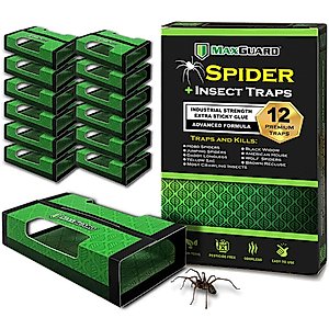 MaxGuard Spider + Insect Traps (12 pcs Box Trap) | Non-Toxic Extra Sticky Glue Traps , Kill Black Widow Hobo Brown Recluse Spiders and Other Crawling Bugs & Insects |