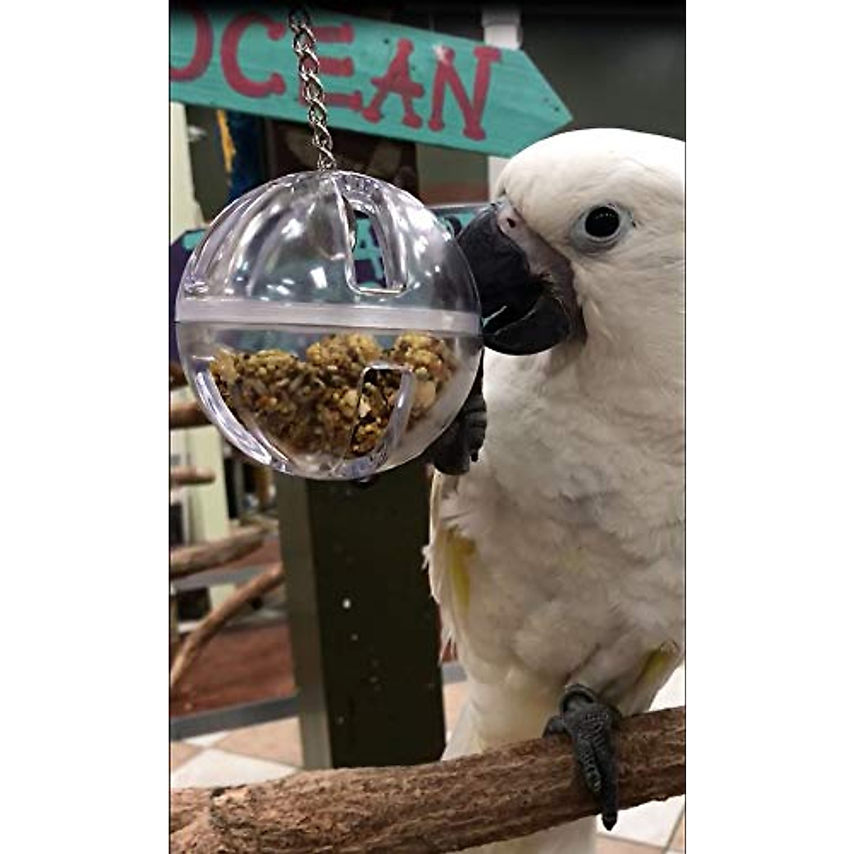 Birds LOVE 3" Hanging Clear Foraging Plastic Perforated Ball Unscrews, Put Bird Treats Inside, Comes w Vine Balls Inside, Bird Cage Medium to Large Bird Toy