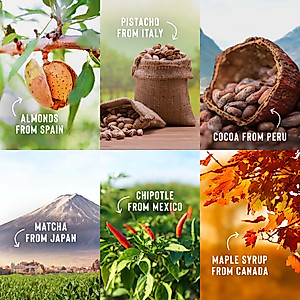 Mezcla Vegan Chocolate High Protein Bars, Gluten Free, Plant Based, Non GMO, No Dairy, 10g Protein, Healthy Snacks, 6 Flavor Variety Pack (8 Bars)