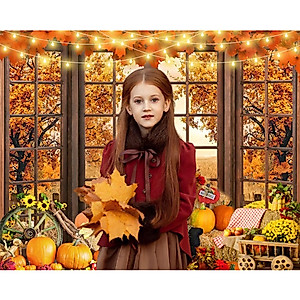 Fall Thanksgiving Backdrops for Photography Pumpkin Fall Window Photo Backdrop Scarecrow Maple Leaves Background Autumn Harvest Party Decorations Background Baby Shower Party Banner Photo Props 10x8ft