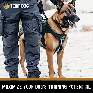 Team Dog Beef Heart, Lung & Liver Dog Treats, 5.4 Oz, Gluten-Free, Grain-Free Training Treats