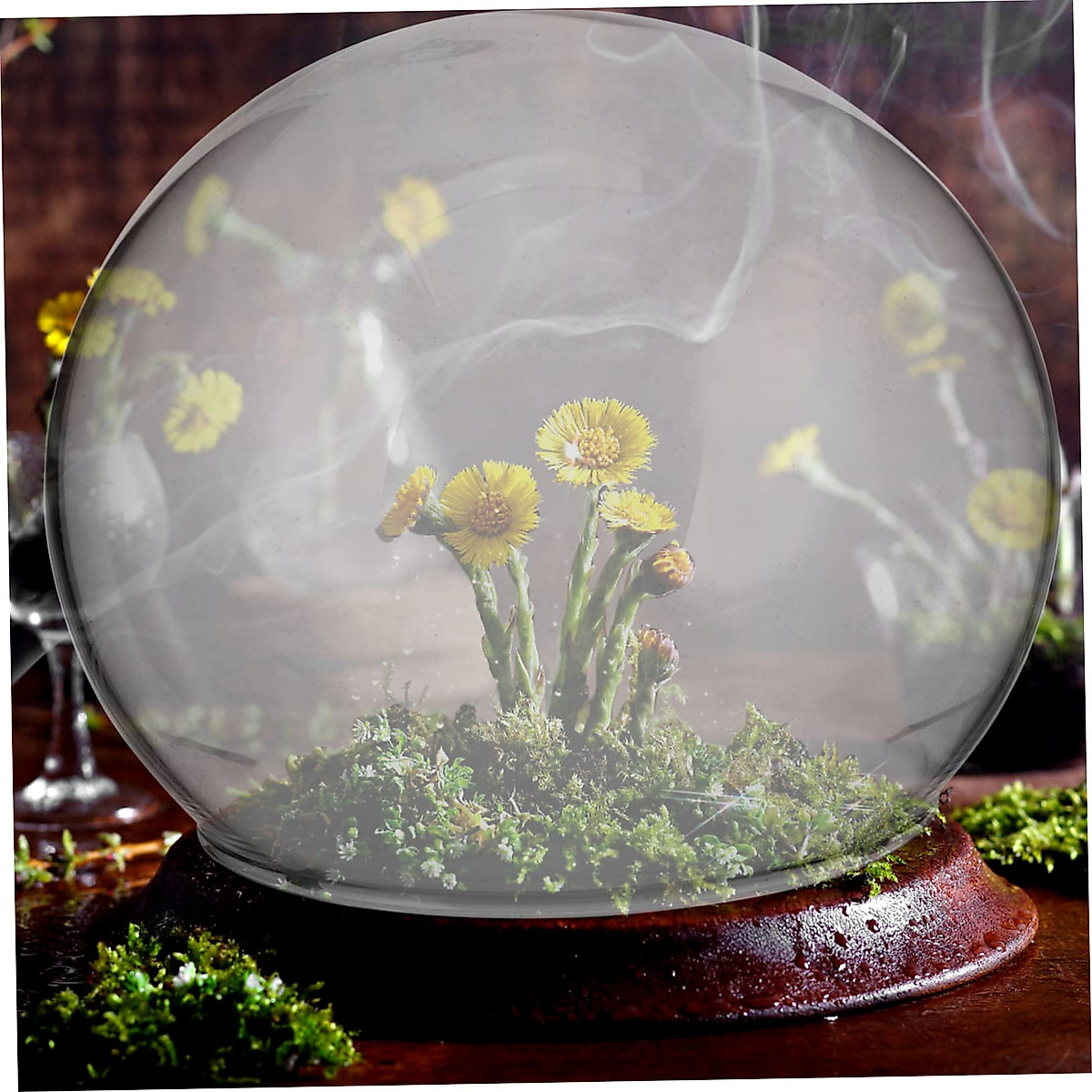 Abaodam 9 Pcs Round Glass Cover Wall Vases for Flowers House Plants Clear Cake Stand Bell Jar Display Dome Clear Platter Cover Cake Protector Party Dessert Cover Dessert Protective Cover