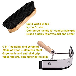 Horse Grooming Kit （10-Piece） with Tote，Horse Cleaning Tool Set with Assorted Hair and Curry Comb, Hoof Pick Sweat Scraper，Grooming Scissors，Portable Black Storage Bag，Riding Equipment for Beginners