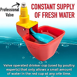 Royal Rooster 1 Gallon Automatic Twin Chicken Waterer with 2 Gravity-Feed Valve-Operated Drinking Cups - Indoor and Outdoor Coop Hanging Chicken, Duck and Poultry Water Dispensing System