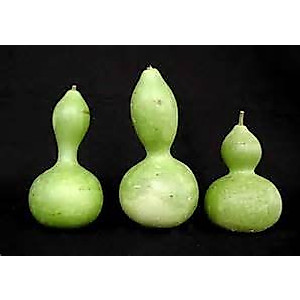 Gourd Seeds Birdhouse Bottle Gourd Seeds, 25 Seed Pack, USA Product.
