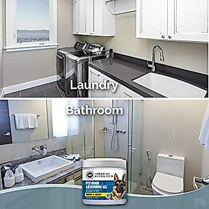 SMELLS BEGONE Pet Odor Absorber Gel - Air Freshener & Odor Eliminator - Made with Essential Oils - Fresh & Clean Scent - 15 Ounce