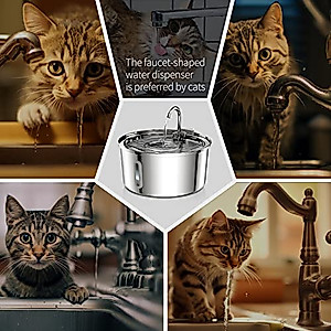 Tomxcute Cat Water Fountain, 3.2L/108oz Automatic Stainless Steel Pet Fountain Water Levels Window can be Checked Dog Water Dispenser, Ultra-Quiet Pump and 3 Replacement Filters & for Multiple Pets
