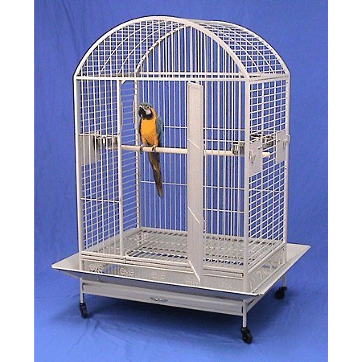 Extra Large Wrought Iron Bird Cage Parrot Cages Macaw Dometop 36"x26"x65" (Egg Shell White)