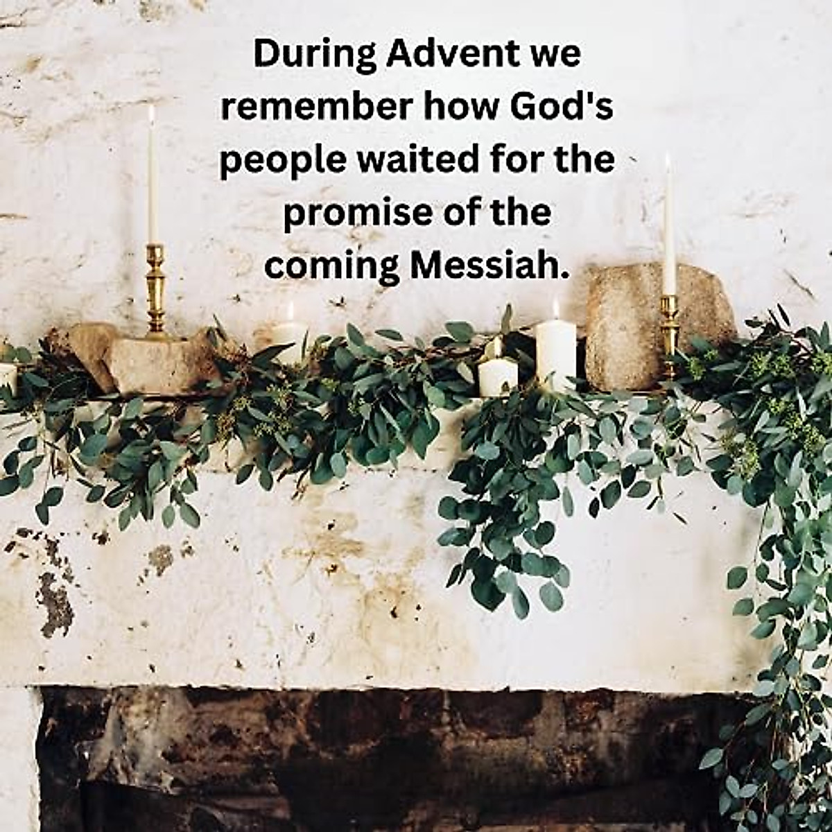 Advent - Bible Study Book: The Weary World Rejoices