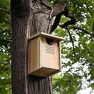 WHITEHORSE Large Cedar Owl House - Premium and Weatherproof Design - 16" x 12" x 11" - A Nesting Box for Screech Owls, Northern Pygmy, Kestrel and Other Species
