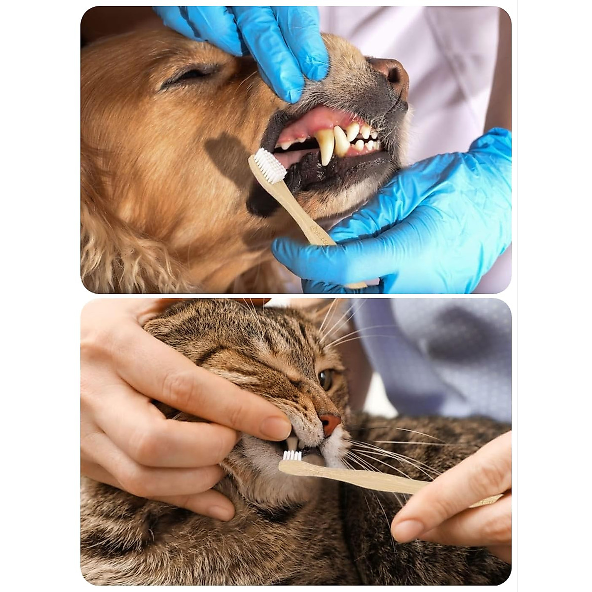 ECOETBOO Dog Toothbrush 6 Pack, Pet Cat Bamboo Toothbrushes, Double-Sided Small and Large Head Toothbrush for Dogs Cats, Biodegradable Eco-Friendly Dog Tooth Brushing Kit