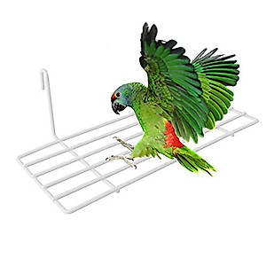 VILLCASE Black Shelf Parrot Grid Iron Frame, Hanging Iron Frame Shelf Bird Perch Grid Wall Shelf Simple Wall Decoration for Pet Parrot Bird Parakeets Cockatiels Perching (White) 1PCS Black Decor
