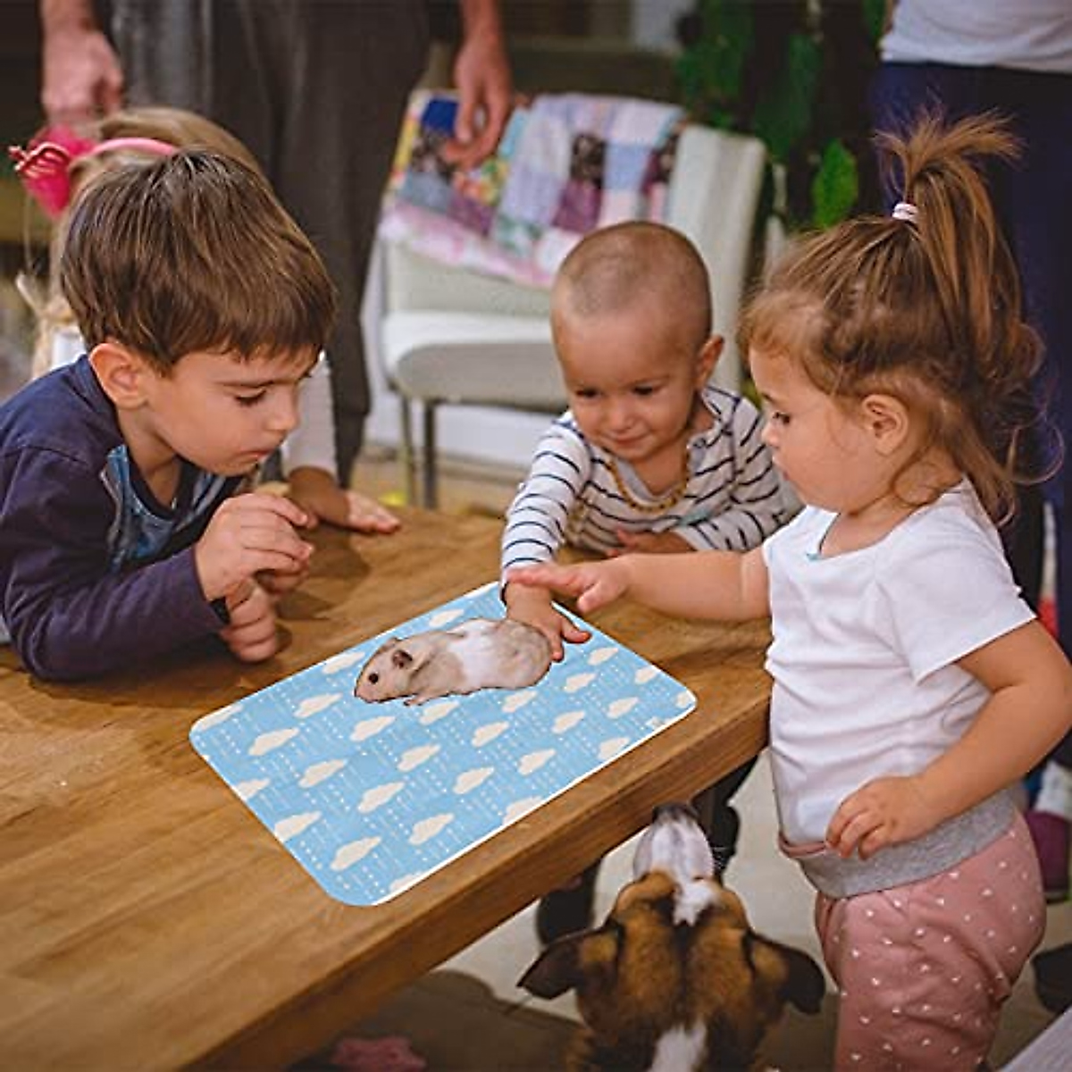 Guinea Pig Cage Liners 6Pcs Waterproof Guinea Pig Bed Pads Reusable Machine Washable Guinea Pee Pads Anti-Slip Pet Training Pads for Small Animals Fast Absorbent Cage Liners(17.7x13.8inch)