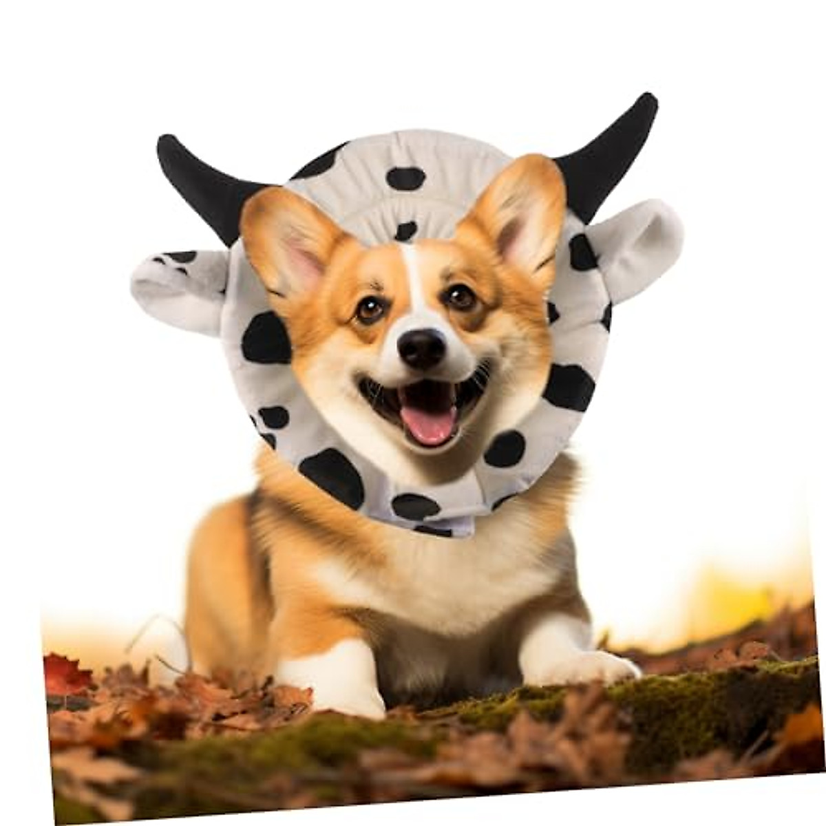 DOITOOL 2pcs Cat Collar Bite Pet Cone Cat Cone Collar Choker Surgery Collar Adjustable Dog Cone Dog Collar Dog Cone Collar Neck Cone Recovery Cone Puppy Pet Dog Collars Crystal Velvet