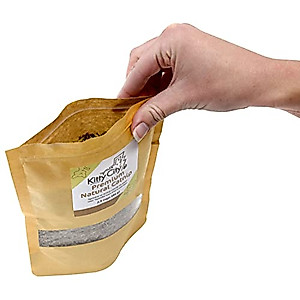 Kitty City Premium Natural Catnip