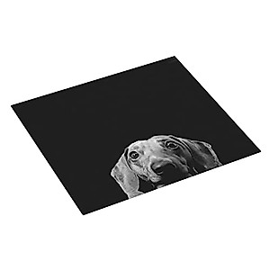 Funny Dog Printed Drying Mat For Kitchen Ultra Absorbent Microfiber Dishes Drainer Mats Non-Slip Silicone Quick Dry Pad - 18 X 16inch