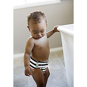 GroVia O.N.E. Reusable Baby Cloth Diaper (Opal)