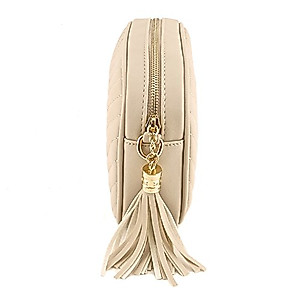 Simple Shoulder Crossbody Bag With Metal Chain Strap And Tassel Top Zipper (Beige)
