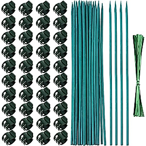 Jetec 40 Pieces Orchid Clips Plastic Garden Plant Clips with 20 Pieces Plant Support Stakes, 20 Pieces Metallic Twist Ties for Supporting Stems Vines Stalks Grow Upright (30 cm)