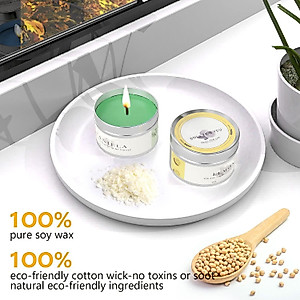 Complete Candle Making Kits for Adults Beginners,DIY Candle Making Supplies Include Soy Wax,Wax Melter,Scents,Dyes,Wicks,Wicks Sticker,Candle Tins & More-Full Candle Making Set - Arts & Crafts Kits