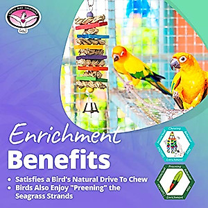 Super Bird Creations SB1095 Seagrass Wafers Bird Toy, Medium Bird Size, 9" x 2.5" x 1.5"