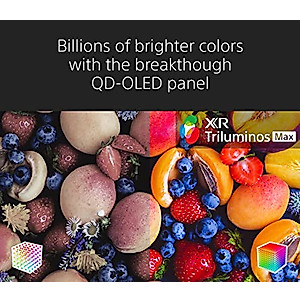 Sony 55 Inch 4K Ultra HD TV A95K Series: BRAVIA XR OLED Smart Google TV with Dolby Vision HDR,Bluetooth, Wi-Fi, USB, Ethernet, HDMI and Exclusive Features for The Playstation- 5 XR55A95K- 2022 Model