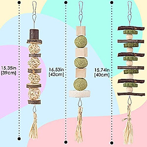 Bissap 3PCS Bunny Chew Toys, Natural Hanging Rabbit Chew Toy Treats for Guinea Pigs Hamsters Gerbils Chinchilla and Other Small Pets for Teeth Grinding