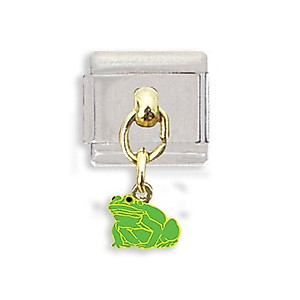 Clearly Charming Frog Dangle Italian Charm