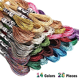 Caydo 28 Skeins Metallic Embroidery Floss Glitter Embroidery Threads Cross Stitch Thread for Friendship Bracelets DIY Embroidery Thread Crafts (14 Colors)