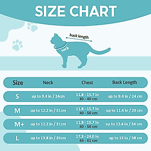 Avont Cat Recovery Suit - Post-Surgery Onesie for Cats, Alternative to Cone of Shame, Protective Spay Suit for Female Kitten, Ideal for Healing and Skin Conditions -Mintgreen(M)