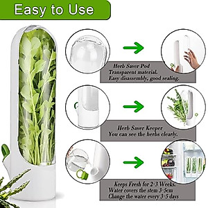 HVECT Herb Saver for Refrigerator, Herb Saver Pod Cilantro Containers for Refrigerator, Fresh Herb Keeper for Cilantro, Parsley, Asparagus, Mint, Keeps Vegetables for 2-3 Weeks (2PCS)